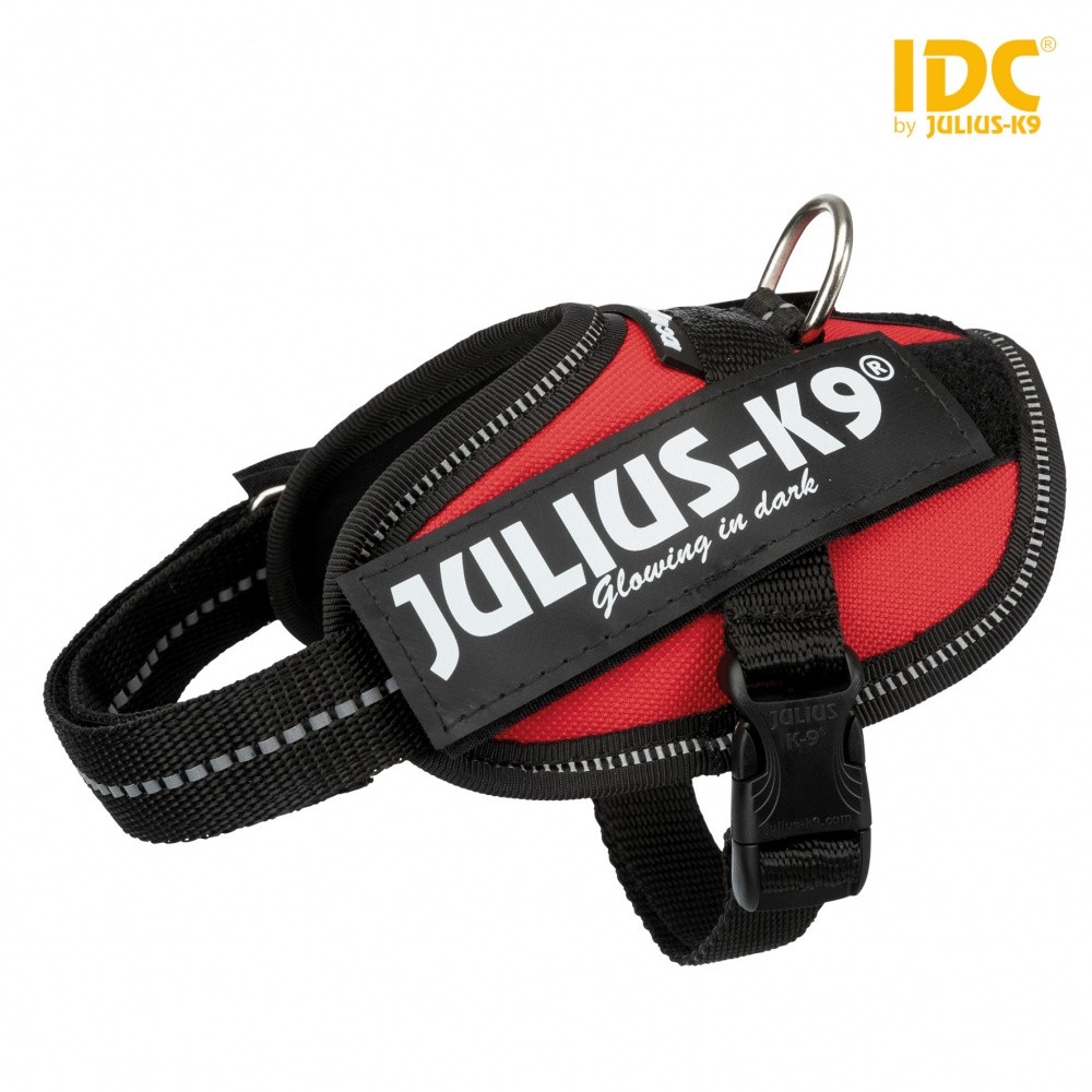 Ham Julius-K9 Idc, 2 XS: 33-45cm/18mm, Rosu, 14813 - Zgarzi Lese ...